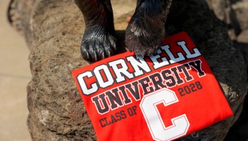 All Stories | Cornell Chronicle