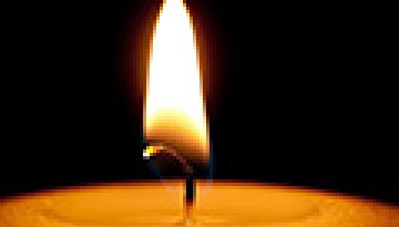 All Stories | Cornell Chronicle